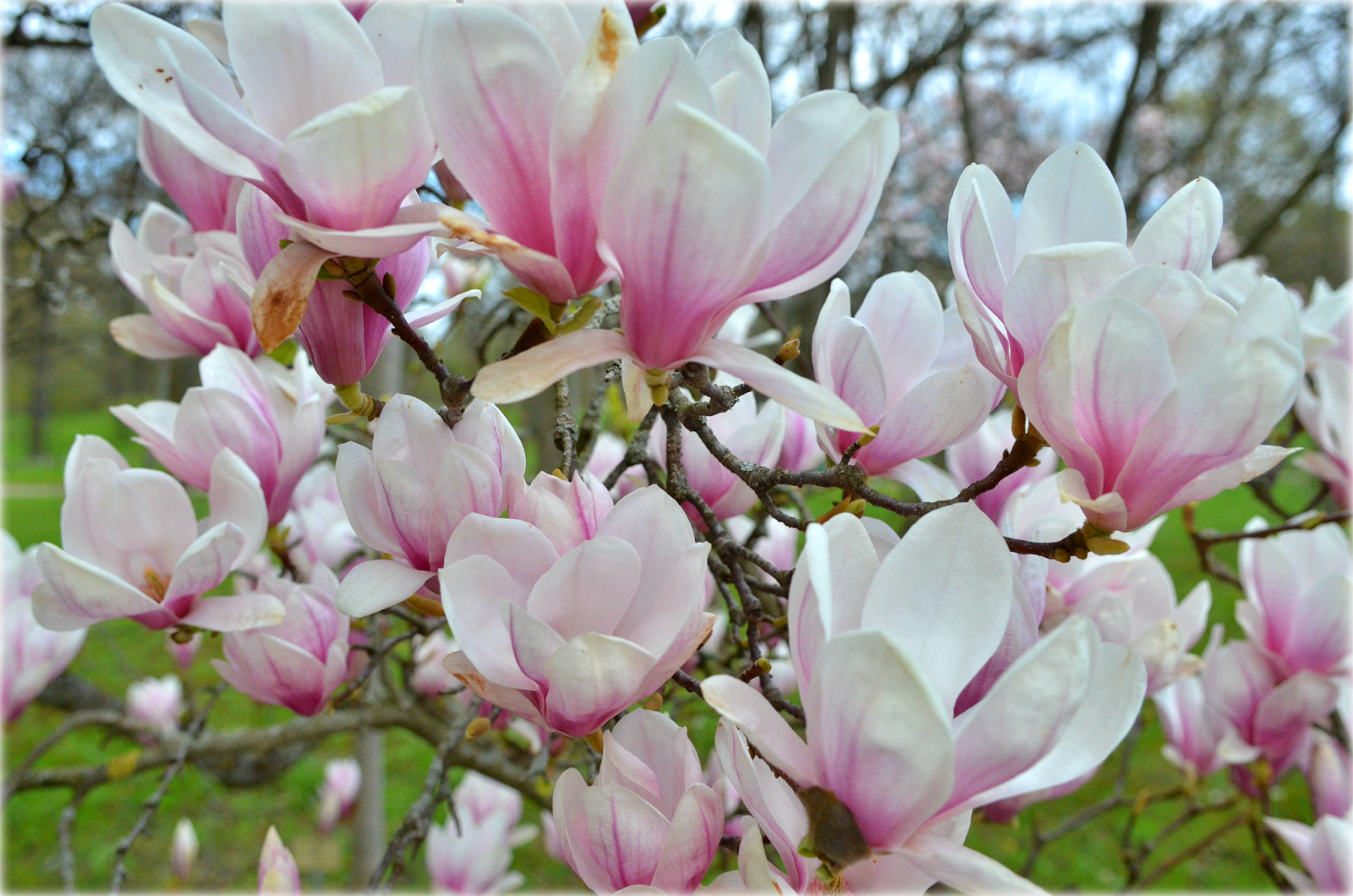 My Romantic Dream: Minu seiklused Berliinis: vaatamisväärsused ...