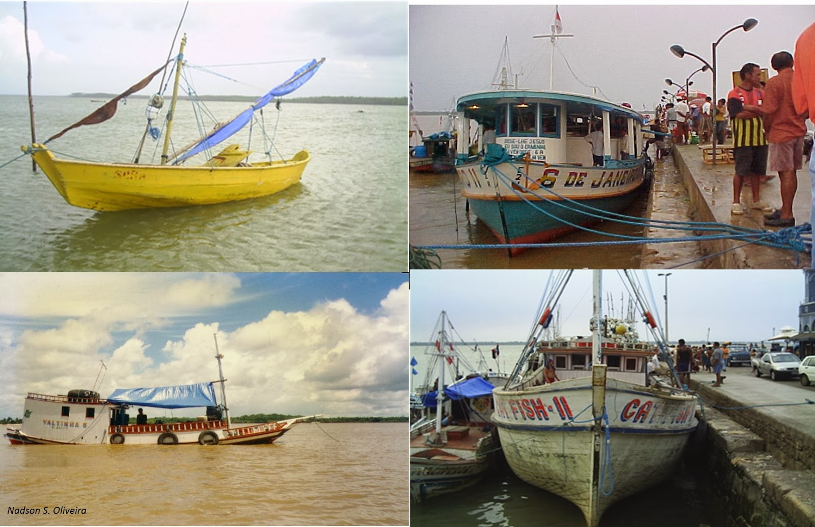 PESCA ARTESANAL AMAZÔNICA: FROTA DA PESCA ARTESANAL