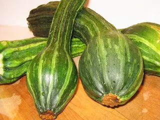 Squash Squash and More Squash