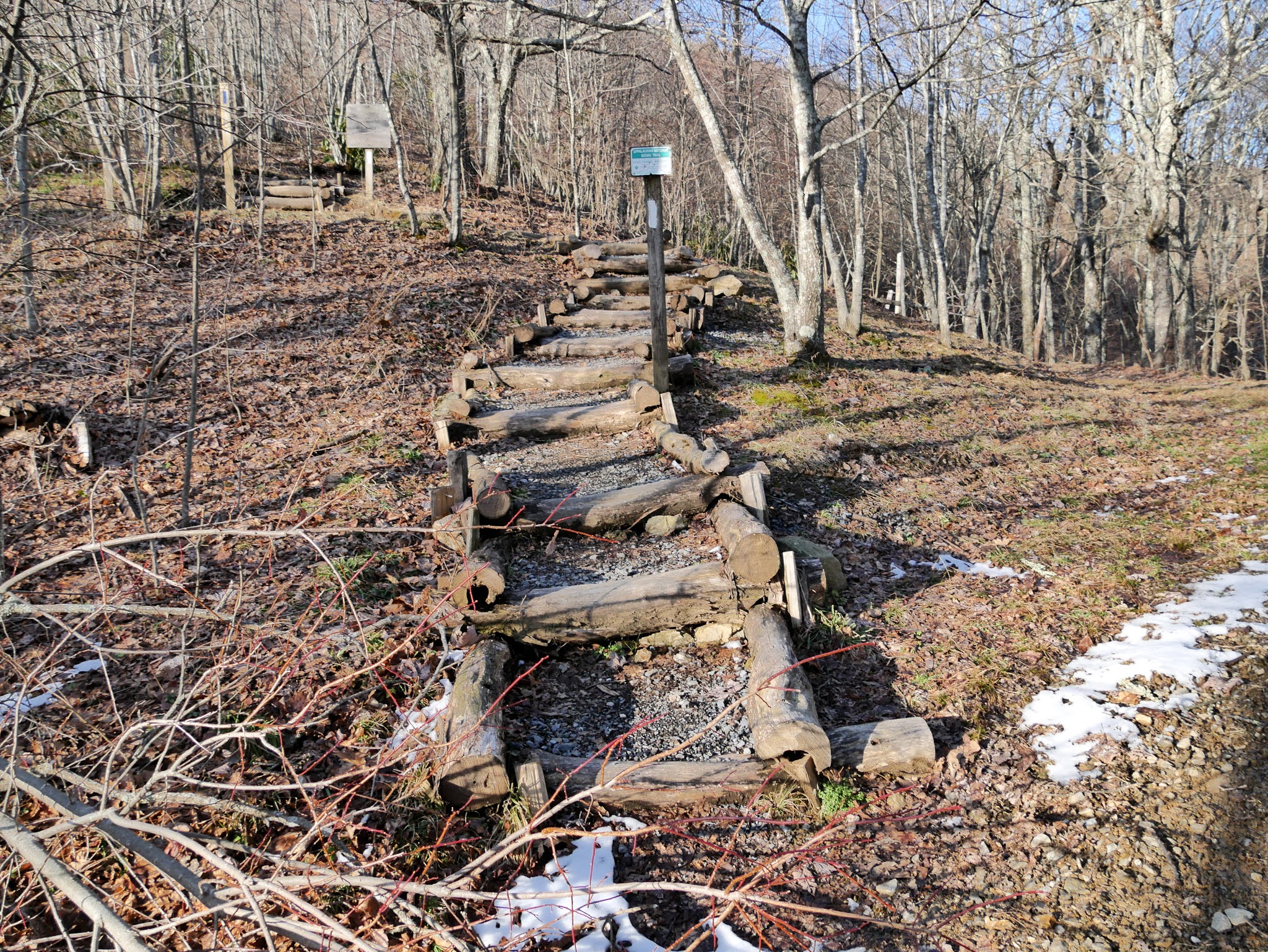 American Travel Journal: Max Patch Road to Max Patch Summit ...