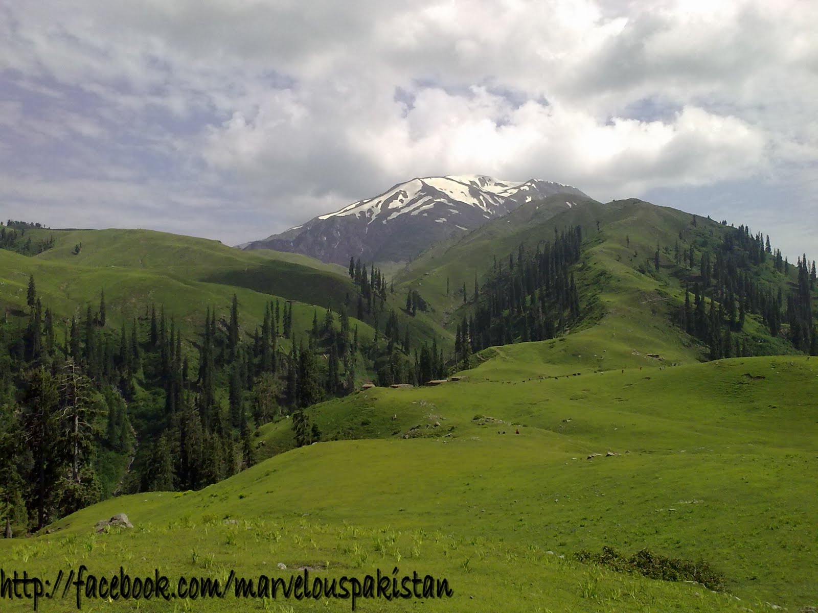 Marvelous Pakistan: Beautiful Pakistan: Siri Paye