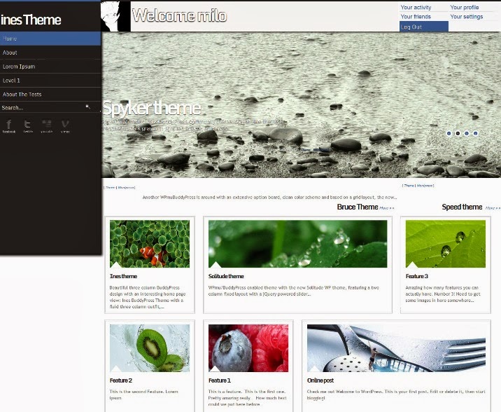 50+ BuddyPress Themes - Webprecis
