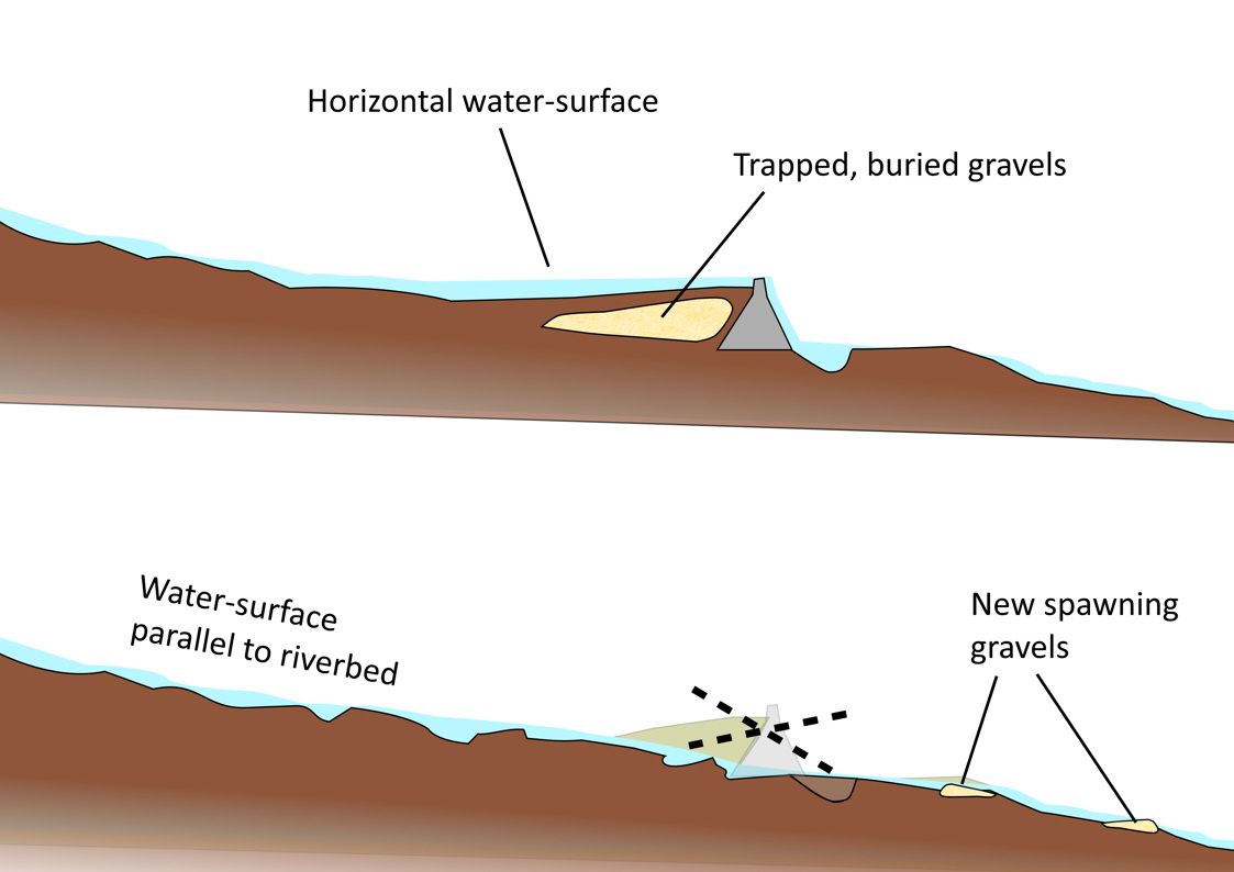 Why Presume to Remove Weirs? (with River Dove Case Study) | Wild Trout ...