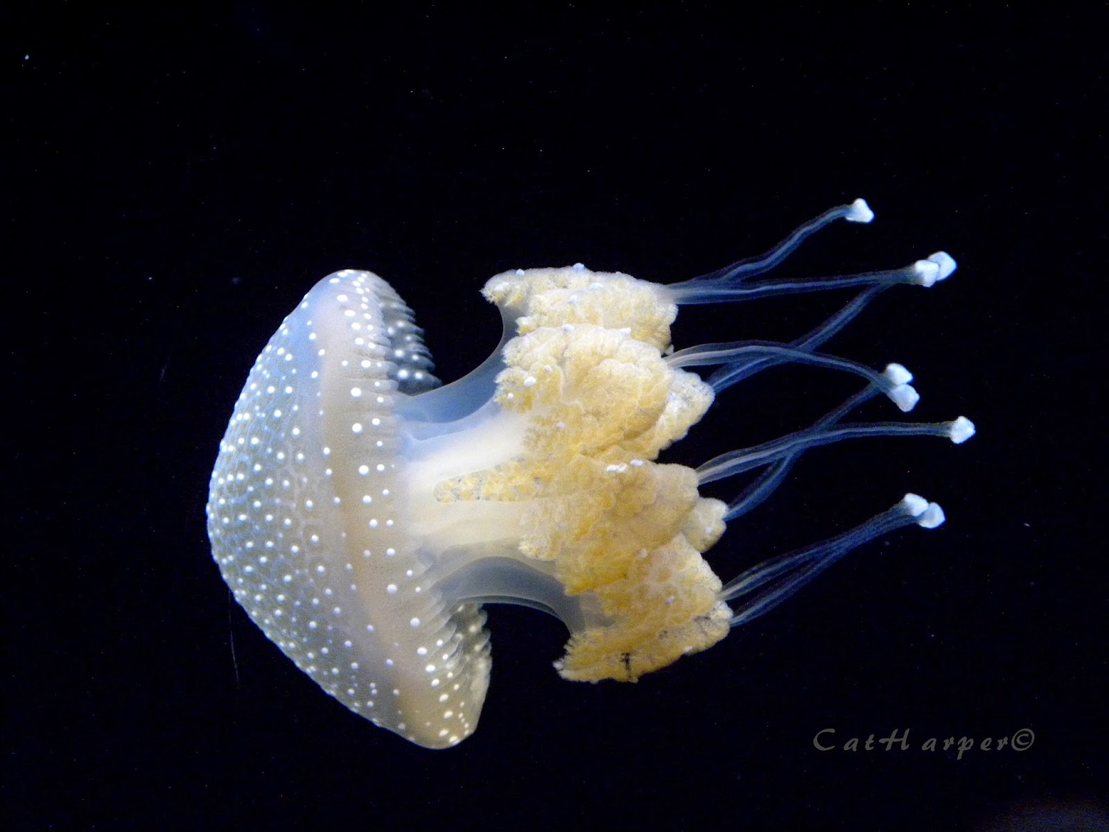 Shutterbug Traveler: September 2014