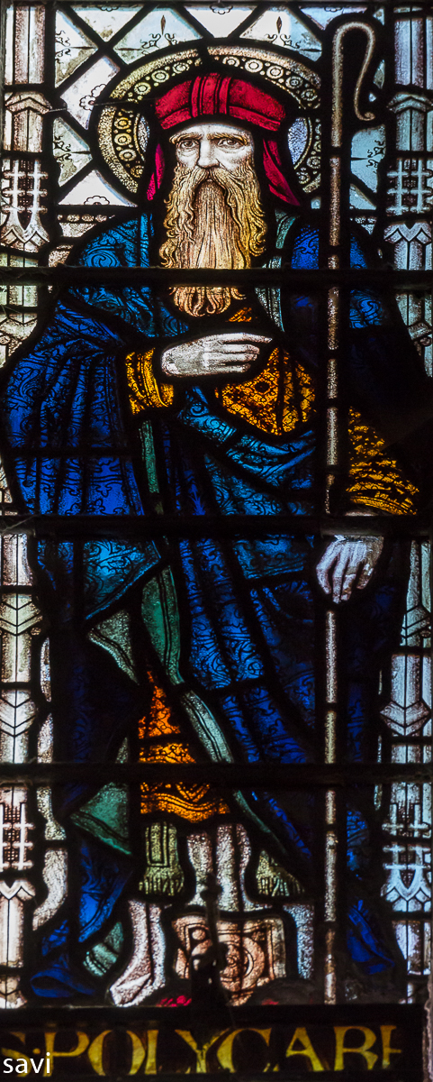 sacerdos viennensis: Polykarp von Smyrna