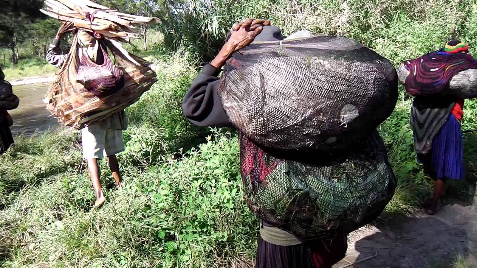 Budaya Papua: NOKEN PAPUA