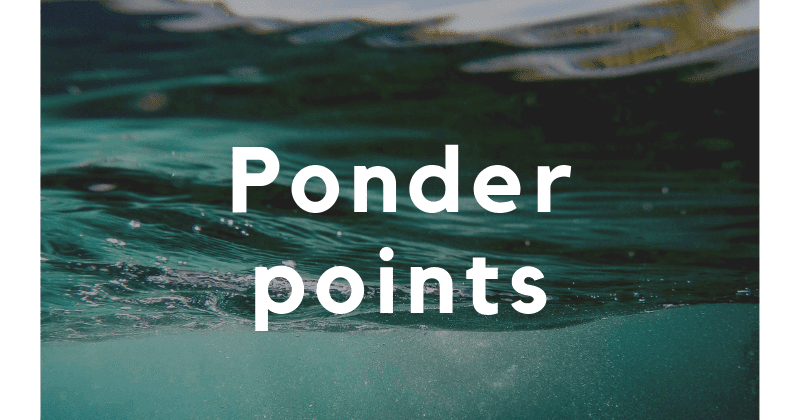 Ponder Point - The Reason why Life experiences are essential - Chris ...