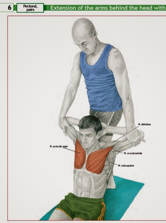 MyStretchingVital: septiembre 2014