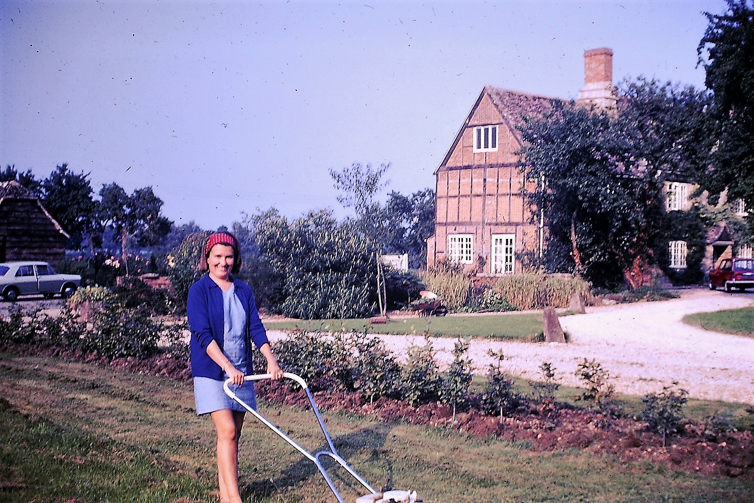 Rob Donovan - Author: ANOTHER SIGHTING OF JAGO STONE - THE VINES HOUSE ...