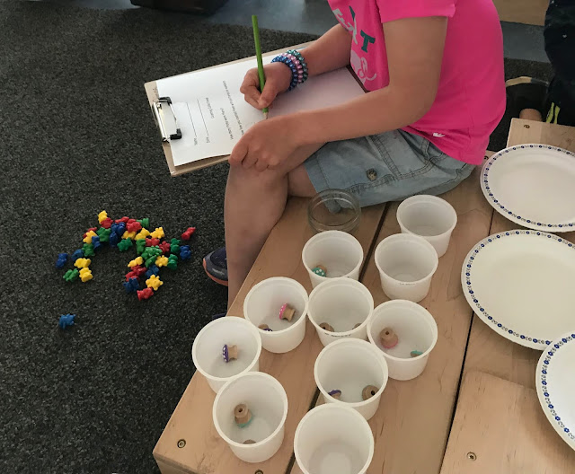 Counting Collections In Kindergarten | Nature Play On Vancouver Island