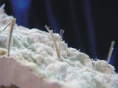 Pick Your Poison- Chemicals In Everyday Life: Asbestos - kerley - grunsell