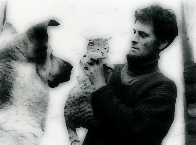 Footless Crow: Mike Tomkies: Life in the Wilderness