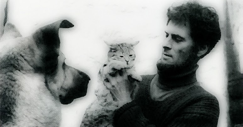 Footless Crow: Mike Tomkies: Life in the Wilderness