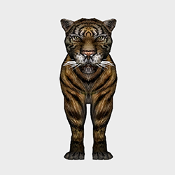 TS3 - Daislia - Two Tigers Set ~ Noir and Dark Sims