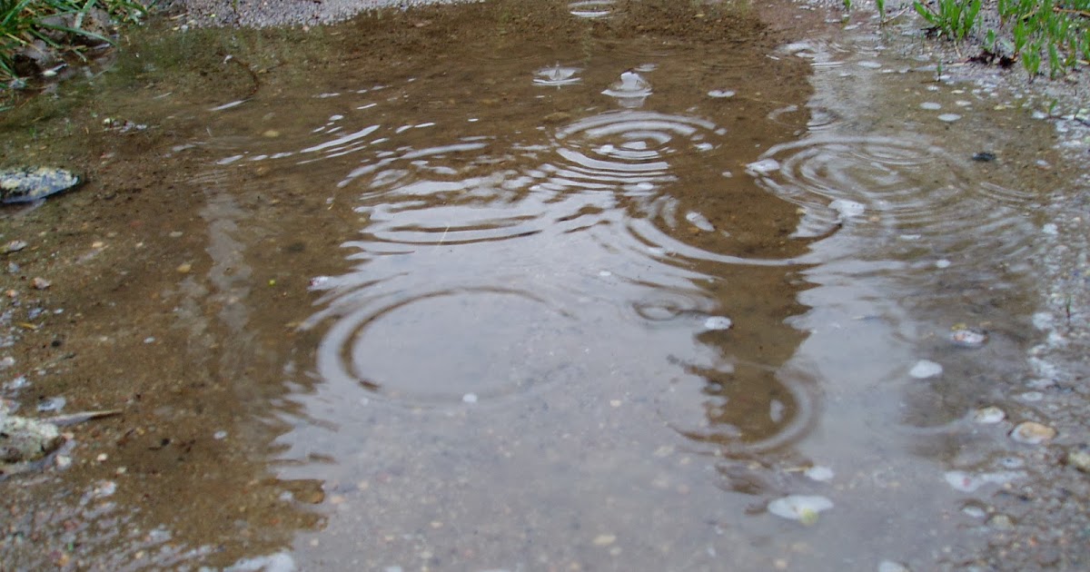 The parable of muddy water ~ Malinda Words