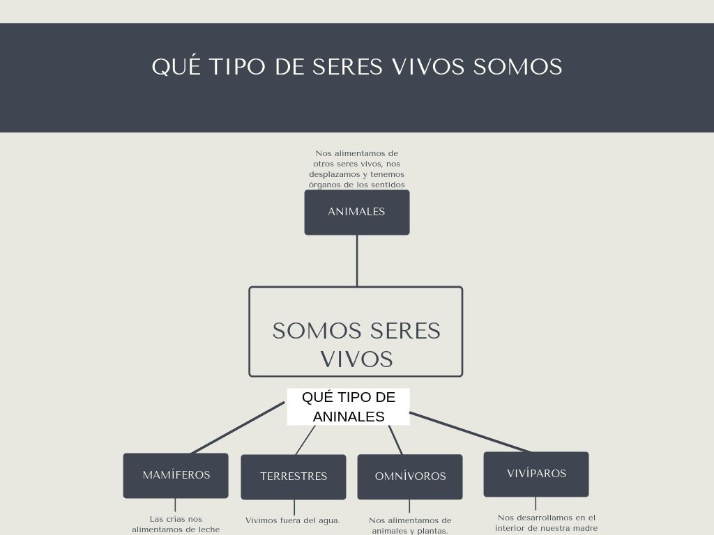 PRIMER CICLO: NATURALES SEGUNDO CICLO
