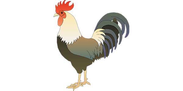 Indonesian Folktales: Cindelaras