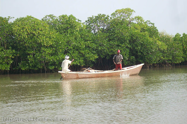 Pichavaram Mangrove (Cuddalore - Tamil Nadu) | My Travelogue - Indian ...