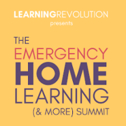 Steve Hargadon: Learning Revolution Shows Today and Tomorrow: "Back to ...