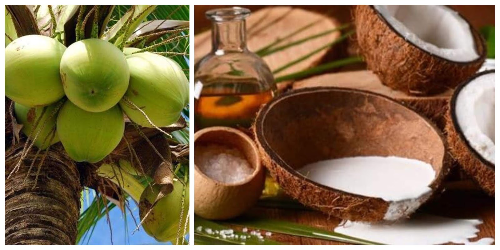 The 7 Secrets About Coconut Only A Handful Of People Know | Health ...