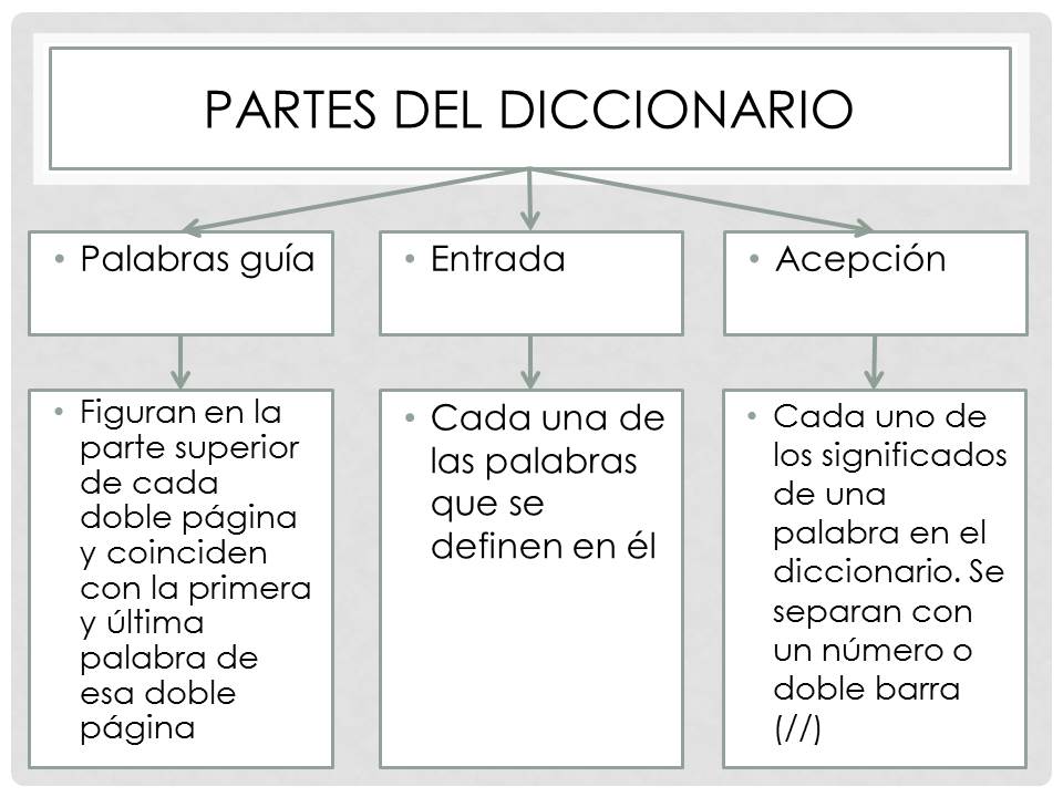 Hoja De Trabajo Sobre Las Partes De Un Diccionario