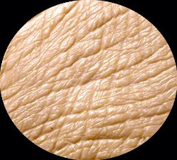 Propnomicon: Realistic Skin Texture