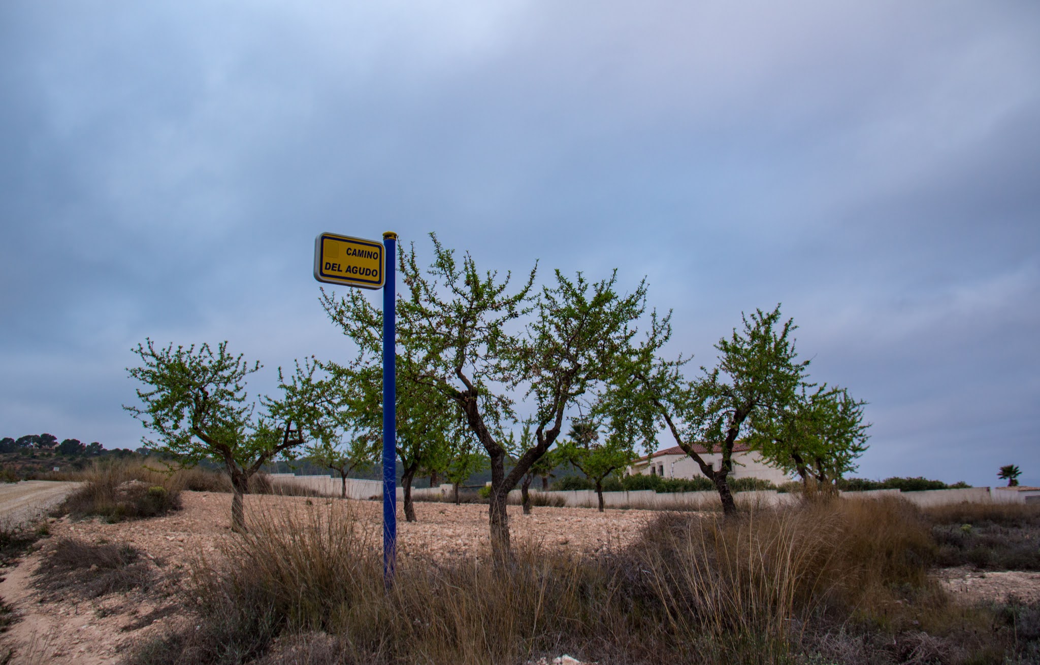 RUTA CIRCULAR AL CERRO DEL AGUDO DESDE BARBARROJA.