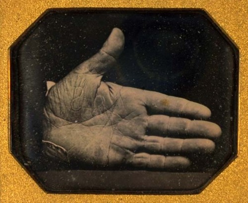 TYWKIWDBI ("Tai-Wiki-Widbee"): June 2011