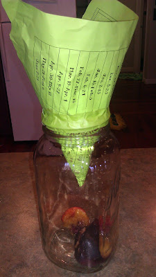Fruit Fly Trap