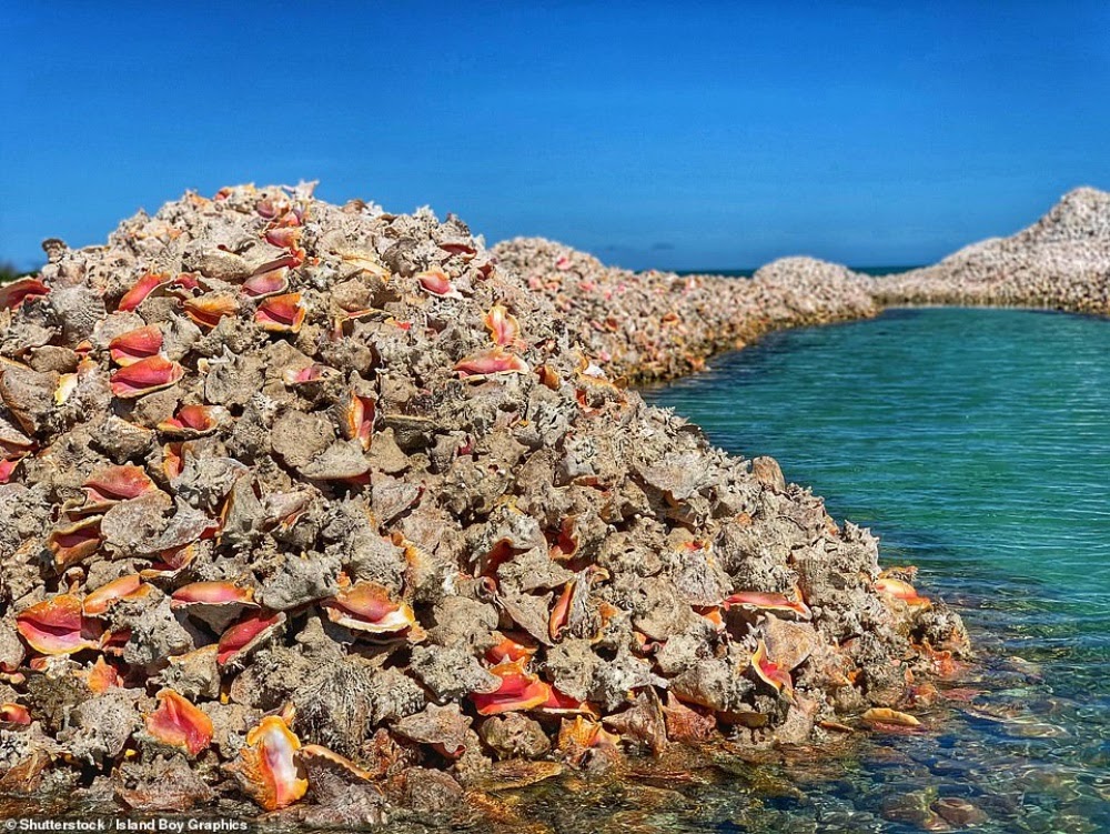 Conch Island — A Huge Cemetery of Millions of Conch Shells