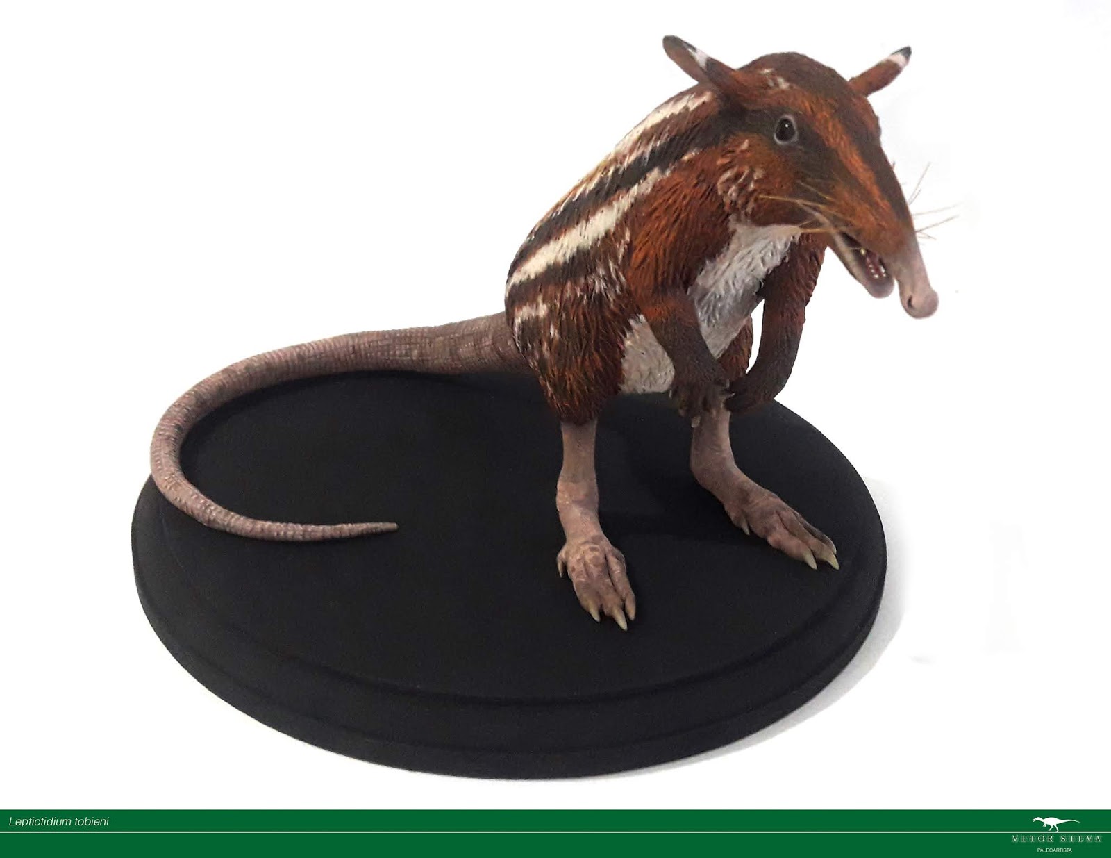 Vitor Silva - Paleoartista: Leptictidium