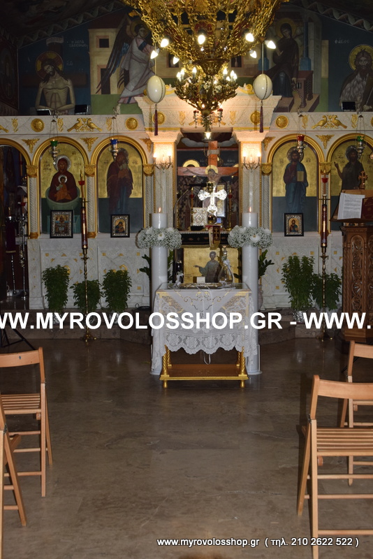 ΓΑΜΟΣ ΖΩΟΔΟΧΟΣ ΠΗΓΗ ΝΕΑ ΦΙΛΑΔΕΛΦΕΙΑ 4,ΓΥΨΟΦΙΛΗ,ΟΡΧΙΔΕΕΣ,ΚΑΡΟ ΡΥΖΙΟΥ ...