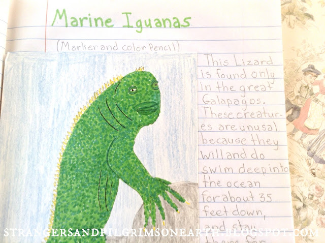 Strangers & Pilgrims on Earth: Sample of Our Nature Study Notebook ...