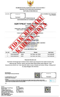 Apa itu Roya dan Bagaimana Cara Mengurusnya