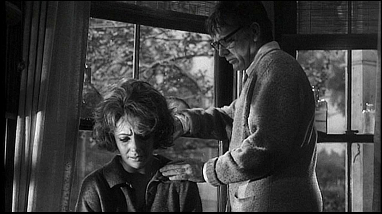 DREAMS ARE WHAT LE CINEMA IS FOR...: WHO'S AFRAID OF VIRGINIA WOOLF? 1966