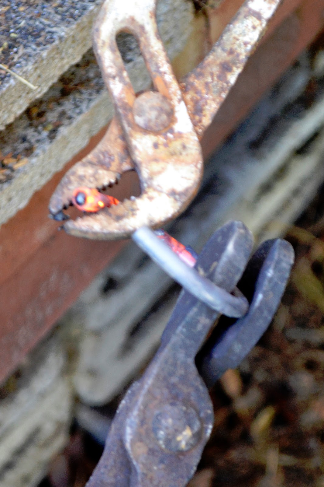 Tangible Daydreams: Making metal loops in a coal forge
