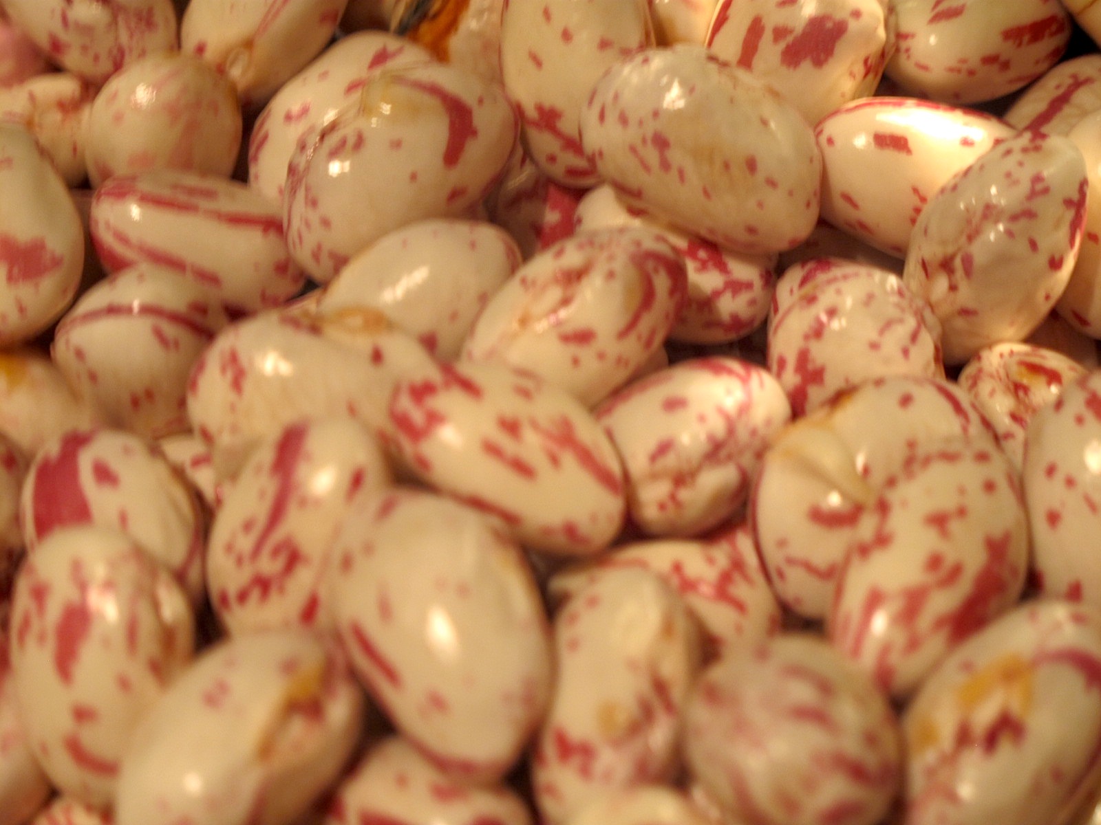 somerville kitchen: Lebanese Stews Series - Assasa (Beans)