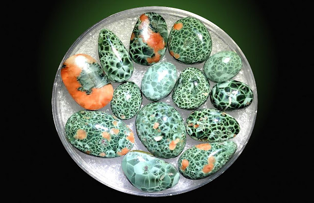 Chlorastrolite: Michigan's Striking State Gemstone