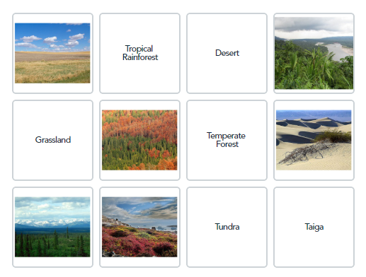 Nearpod Showcase: Matching Pairs
