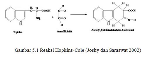 LAPORAN PRAKTIKUM BIOKIMIA (UJI HOPKINS-COLE)