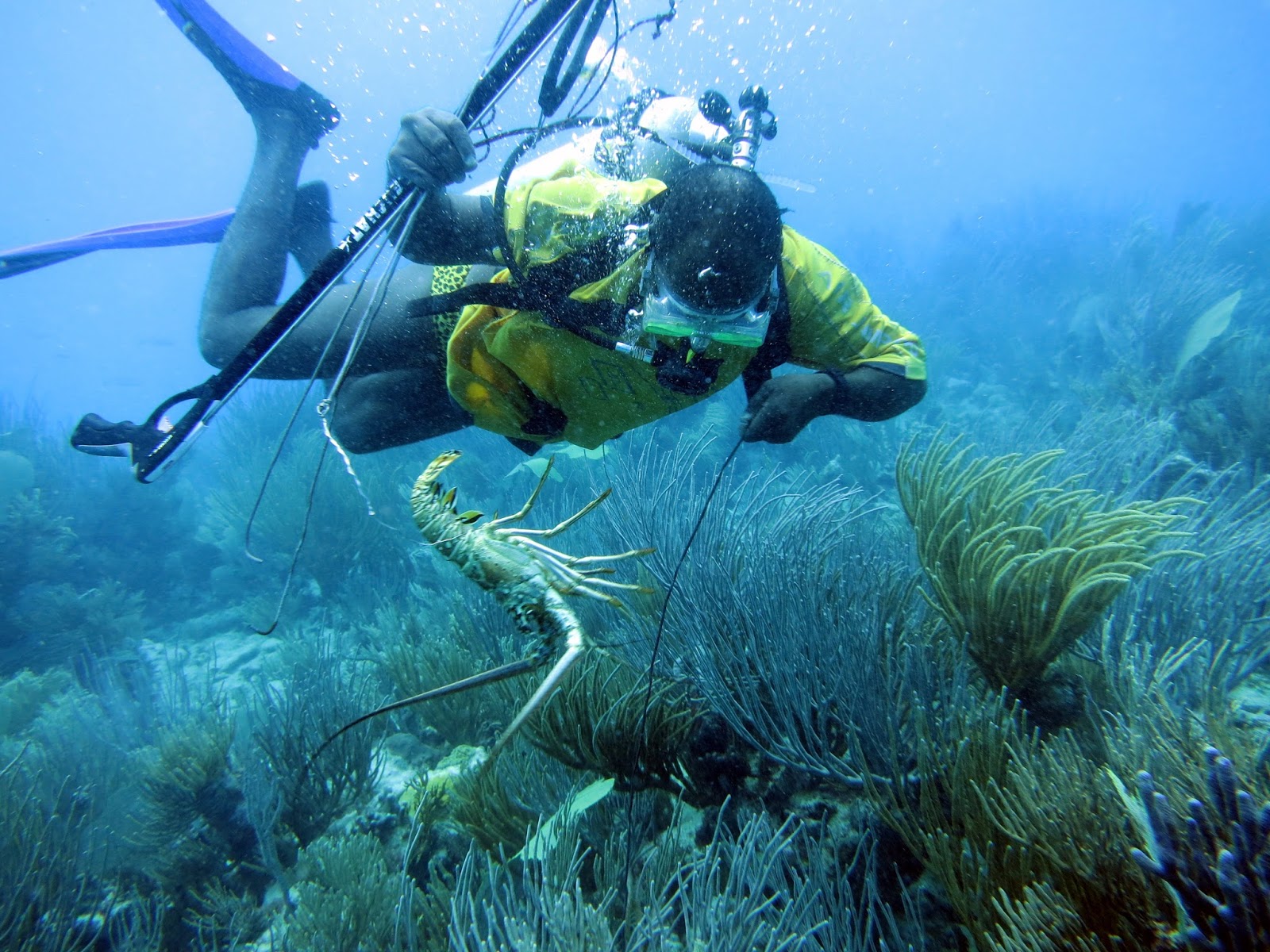 Diving tips: Important Tools Used For Lobster Diving