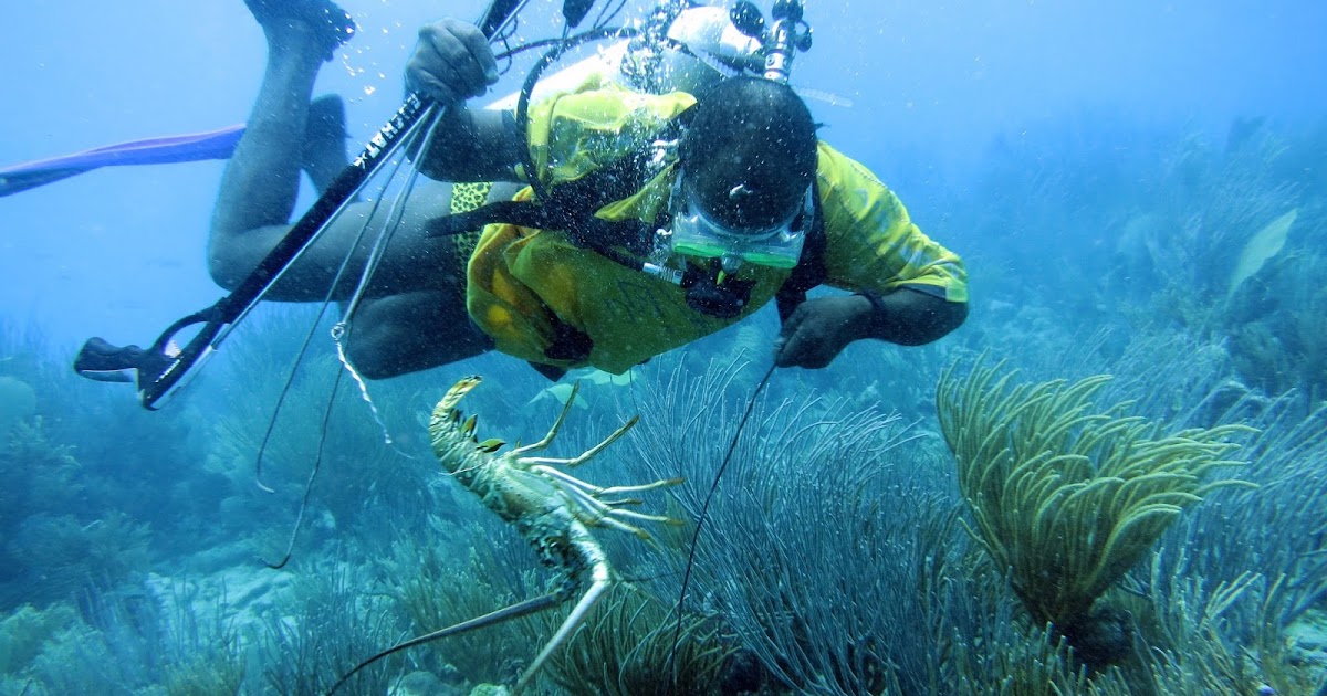 Diving tips: Important Tools Used For Lobster Diving