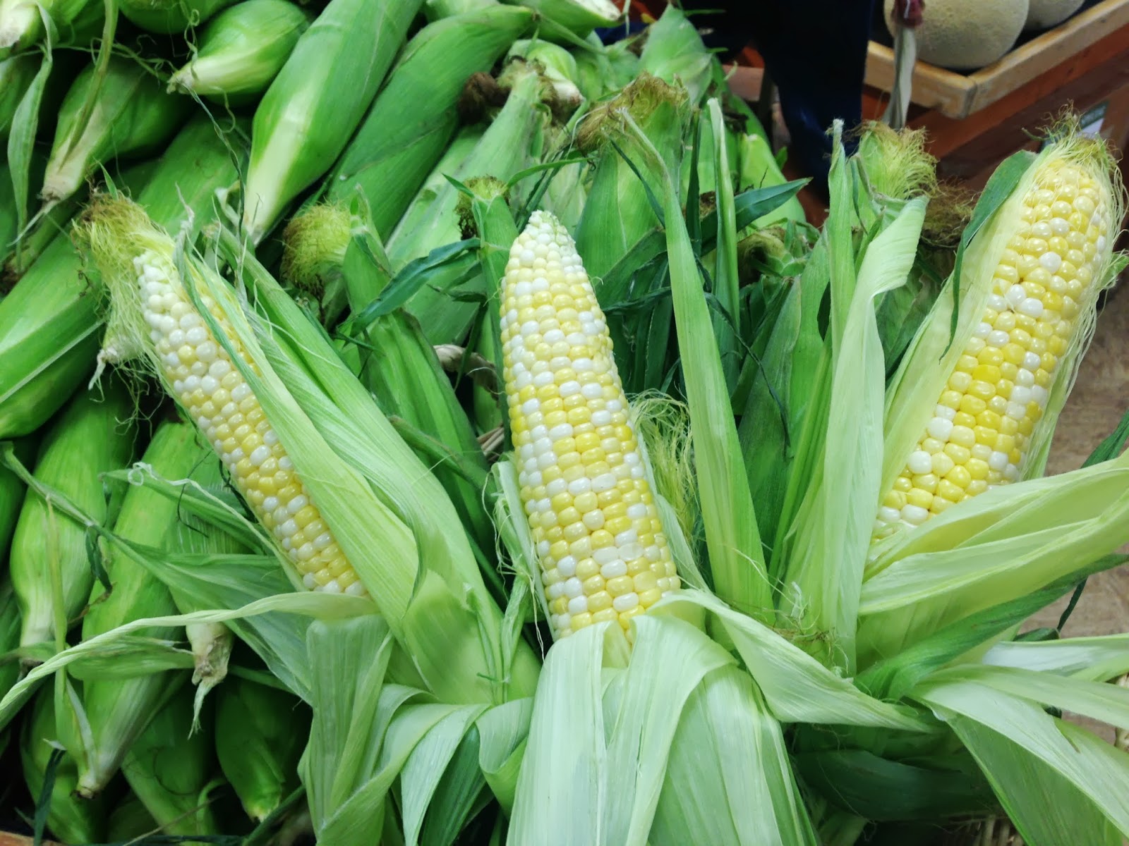 Corn! Glorious Corn! – Concord Food Co-op