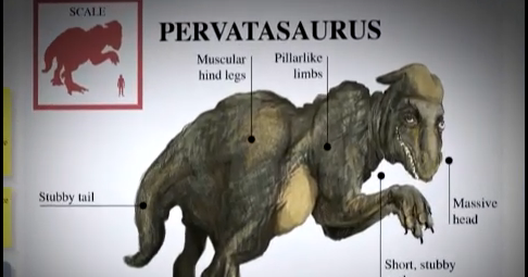 Koprolitos: El descubrimiento del Pervatasaurus
