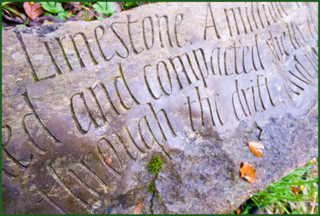 paradis express: Pip Hall lettercarving