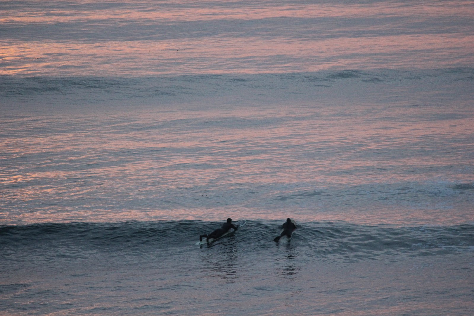 California Comeback Surfing At Sunset Cliffs