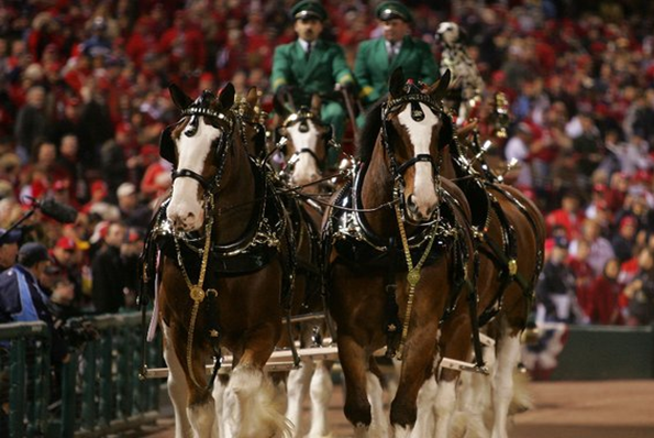 HOW IN THE WORLD!!: The Jesus Guide To Happiness (3).... Blessed are ...