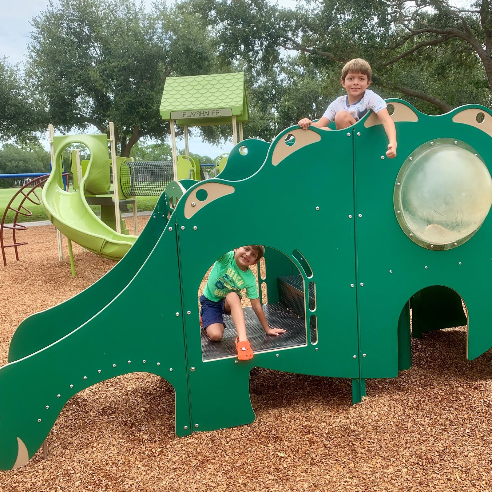 When Tara Met Blog: The Developmental Powers of a Playground