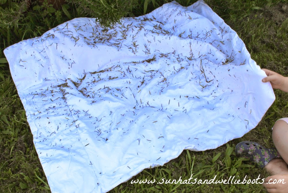 Sun Hats & Wellie Boots: Exploring Bugs with a Sheet Shrub Shake!