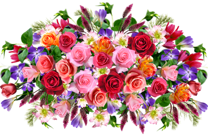 ForgetMeNot: multicolored roses